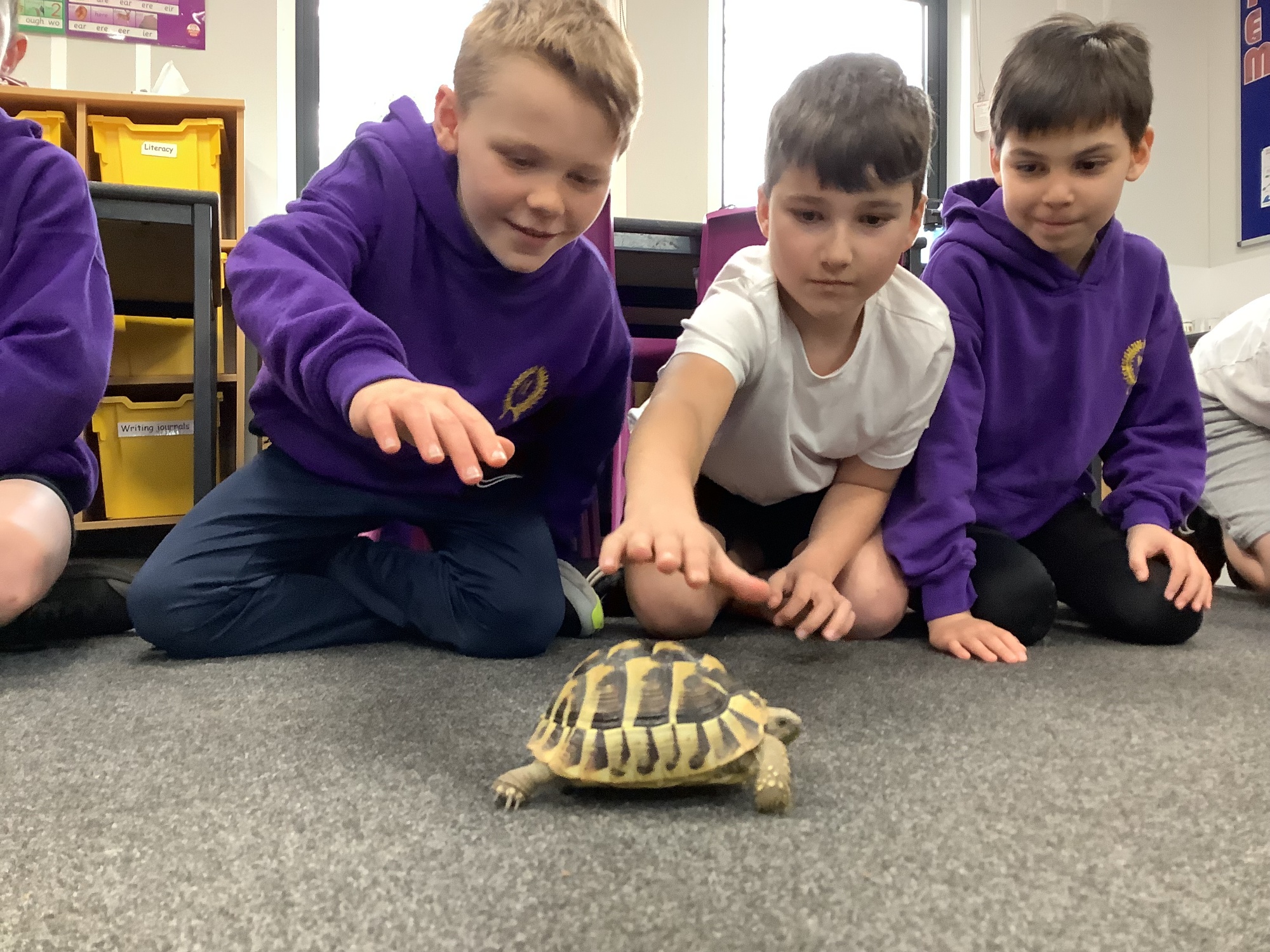 Heatherside Junior School - News & Events